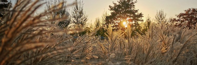 Stellenangebote - Alitera GmbH